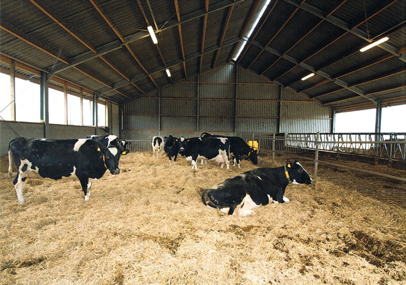 potstal van binnen1 - De Achtermaate